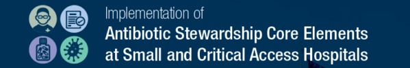 Establishing Antimicrobial Stewardship Programs in Small and Critical ...